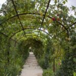 Recanati: Orto sul colle dell'infinito Entry Ticket - A Guided Tour That Brings "L’infinito" to Life