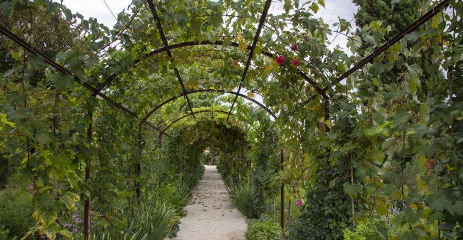 Recanati: Orto sul colle dell'infinito Entry Ticket - A Guided Tour That Brings "L’infinito" to Life