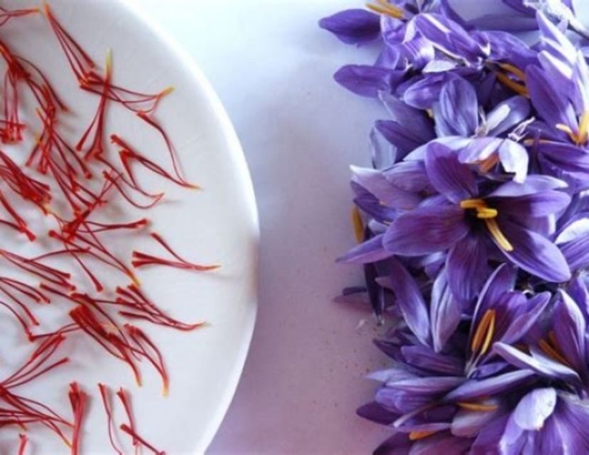 Recco: Cooking Class with Market Visit and Sea Views - What To Expect