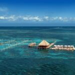 Reef Explorer Half Day Trip - In-Depth Look at the Tour Experience
