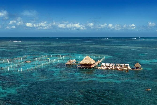 Reef Explorer Half Day Trip - In-Depth Look at the Tour Experience