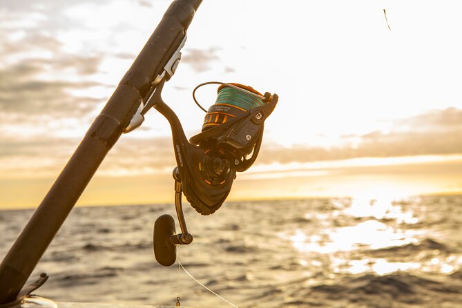 Reef Fishing Experience from Portimao - A Detailed Look at the Reef Fishing Experience from Portimao