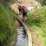 Referta & Castelejo: Half-Day Morning Walk - An In-Depth Look at the Half-Day Morning Walk