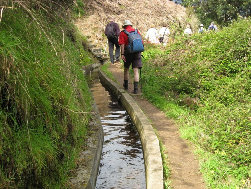 Referta & Castelejo: Half-Day Morning Walk - An In-Depth Look at the Half-Day Morning Walk