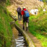 Referta / Castelejo - Levada Walk - A Closer Look at the Itinerary