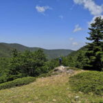 Reggio Calabria: Aspromonte Trails Trek to Montalto Summit - Exploring the Aspromonte Trails and Montalto