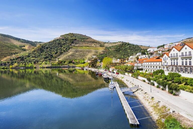 Régua: Wine Tasting at a Farm, Traditional Lunch, Cruise and Train - The Practicalities