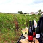 Reims: L'Incontournable Tradition & Dégustation panoramique - Who Will Love This Tour?