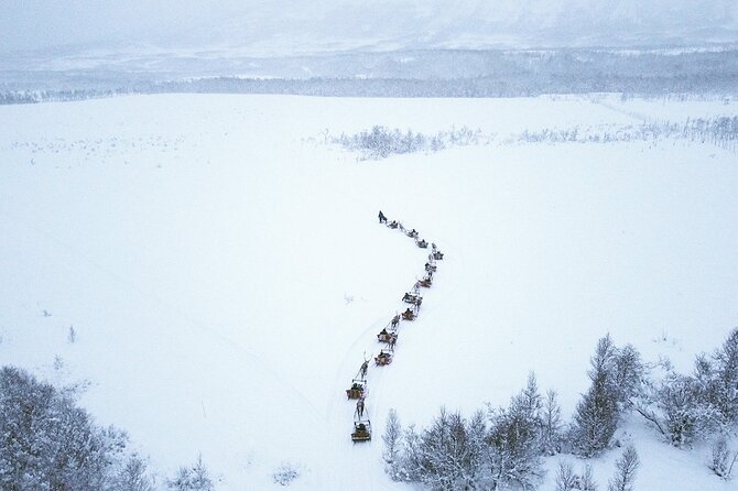 Reindeer Sledding and Feeding with Sami Culture in Tromso. - Key Points