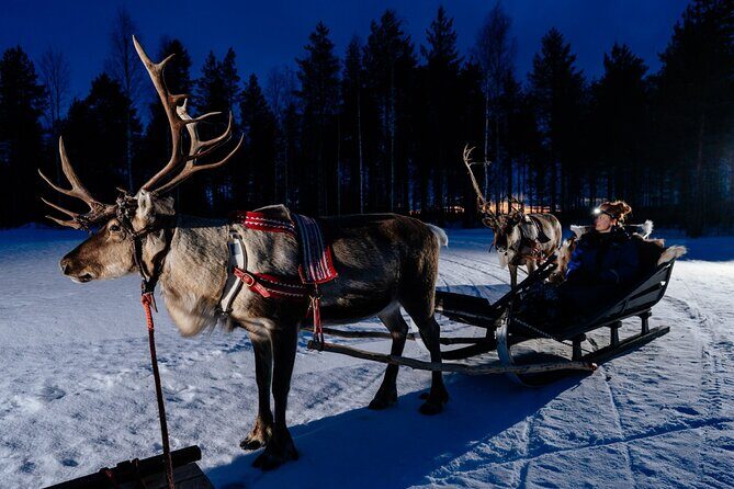 Reindeer sleigh ride across the night in Apukka Resort Rovaniemi - What Does the Itinerary Include?