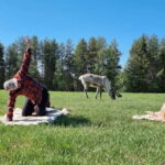 Reindeer yoga in Kuusamo - How The Tour Unfolds