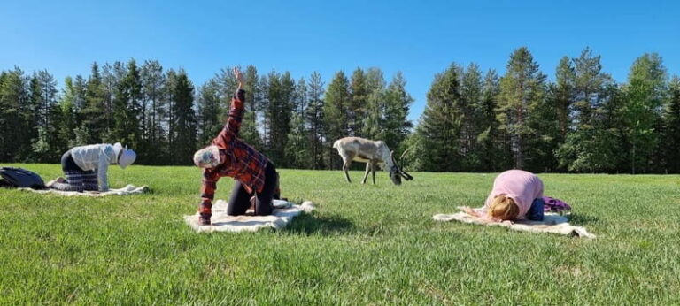 Reindeer yoga in Kuusamo - How The Tour Unfolds