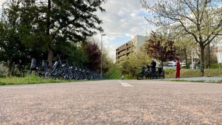 Rent-a-bike: Explore 40 km of the old Tâmega railway line - Final Thoughts: Who Is This Tour Best For?