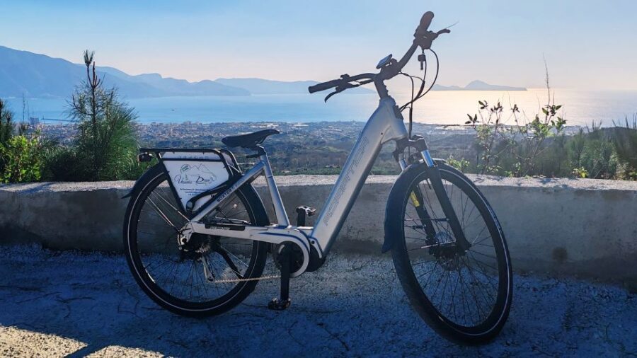 Rent e-bike for the Vesuvius, and Wine Tasting Tour - The Winery Visit and Tasting Experience