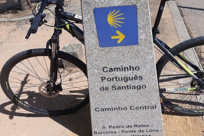 Rent mountain bike for bike path old railway to Famalicão - Analyzing the Cost and Value