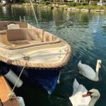 Rental of electric boats without a license - Detailed Breakdown of the Experience