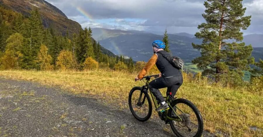 Rentals | E-Mountain Bike - Full Suspension - Pricing and Value