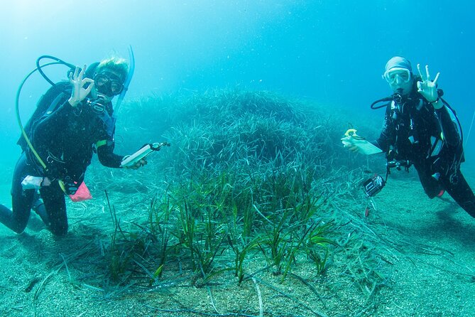 Research diving with a Marine Biologist in Crete - Introduction