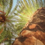 Rethymno Bali/Panormo:Preveli Palm Beach-Waterfall-Monastery - The Value of the Experience
