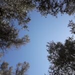 Rethymno: Olive Oil Tasting with Cretan Food Pairing - Real Experiences from Past Participants