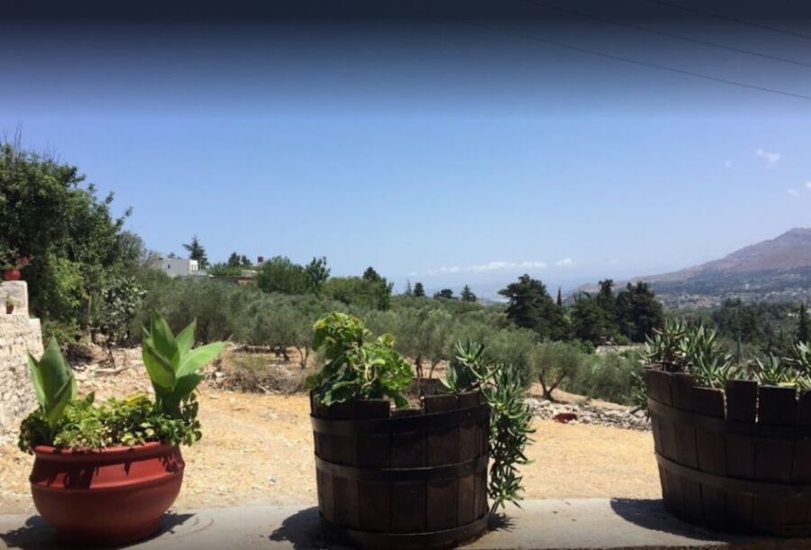 Rethymno: Private Winery & Olive Oil Tasting Tour with Lunch - Highlights and What You’ll Love