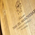 Retrospettiva di Marchesale Wine Tasting and Tour in Bolgheri - The Price and Its Value