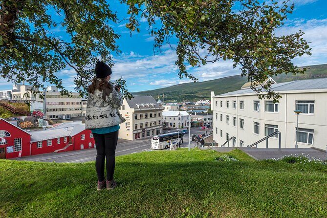 Revel in Reykjavik: Unveiling Icelands Charismatic Capital - FAQs