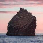 Reykjanes Peninsula Private tour Iceland - Practical Details: What You Should Know