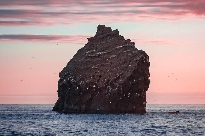 Reykjanes Peninsula Private tour Iceland - Practical Details: What You Should Know