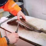 Reykjavik: 3-Hour Sea Angling Gourmet Experience Tour - The Fishing Experience: What It’s Like