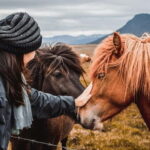 Reykjavík: 5-Day Northern Lights Hunt & Glacier Lagoon Tour - Transportation & Group Dynamics