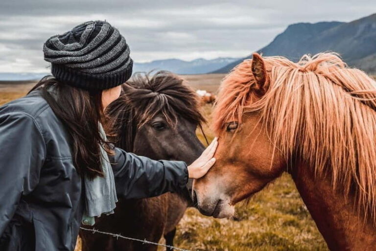 Reykjavík: 5-Day Northern Lights Hunt & Glacier Lagoon Tour - Transportation & Group Dynamics