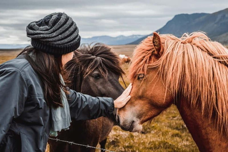 Reykjavík: 5-Day Northern Lights Hunt & Glacier Lagoon Tour - Transportation & Group Dynamics
