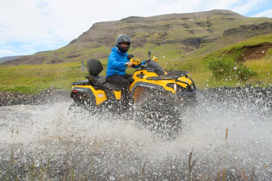 Reykjavik: ATV Ride & Whale Watching Boat Tour - Practical Tips for Travelers