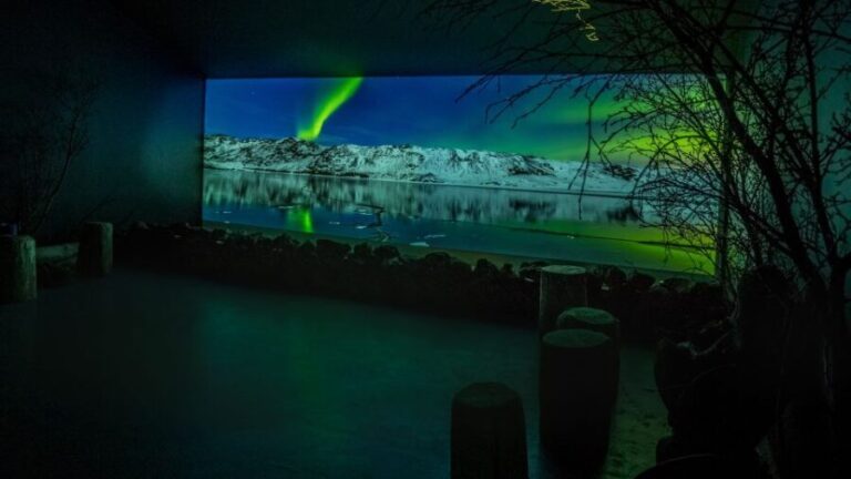 Reykjavik: Aurora Reykjavik The Northern Lights Center Entry - Practical Details & What This Means for You