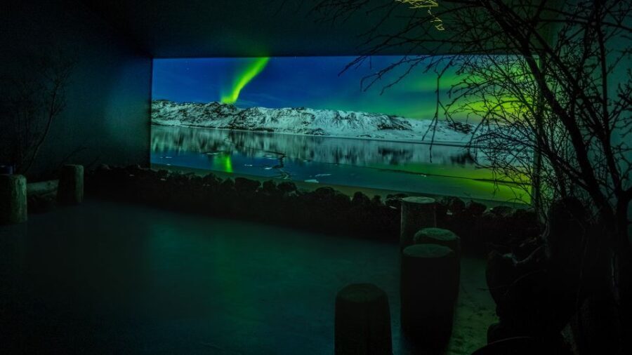 Reykjavik: Aurora Reykjavik The Northern Lights Center Entry - Practical Details & What This Means for You