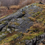 Reykjavik Hidden gems - Private - Half Day tour - with local - Who Will Love This Tour