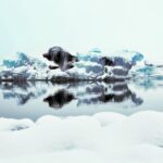 Reykjavik: Jokulsarlon Glacier Lagoon Full-Day Guided Trip - What Travelers Say
