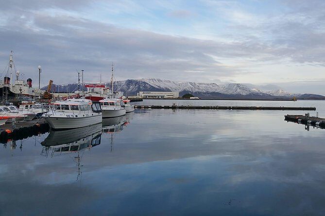 Reykjavik Main Sights and Hidden Spots: A Self-Guided Audio Walk - What Makes This Tour Valuable for Travelers