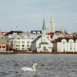 Reykjavik: Meet and Greet with a Local Guide - The Depth of Knowledge and Personalized Advice