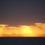 Reykjavík: Midnight Sun Whale Watching Cruise - Key Points