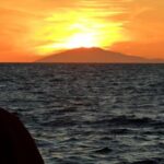 Reykjavik: Midnight Sun Whale Watching Tour - The Reality of Wildlife Sightings