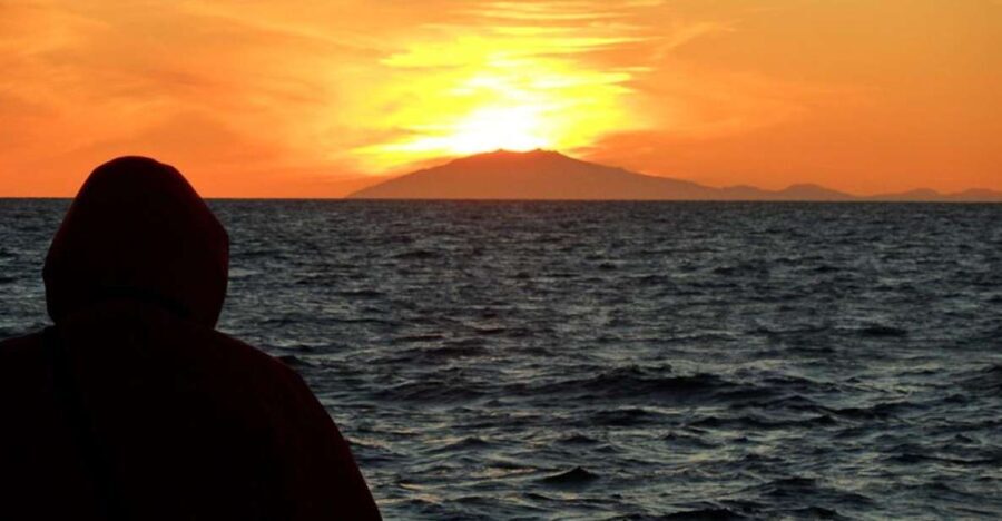 Reykjavik: Midnight Sun Whale Watching Tour - The Reality of Wildlife Sightings