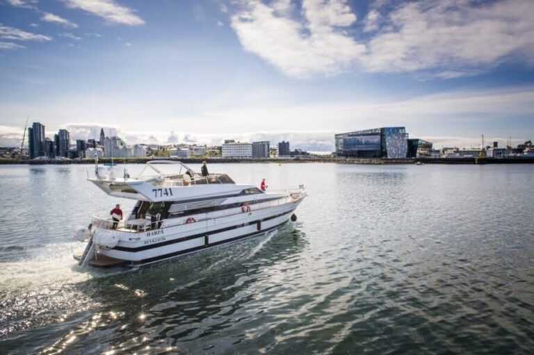Reykjavík: New Year's Eve Northern Lights Yacht Cruise - What Makes This Tour Stand Out?