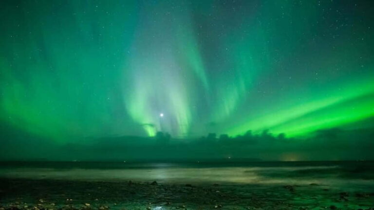 Reykjavik: Northern Lights Adventure Tour with Hot Chocolate - The Itinerary in Detail