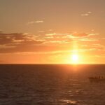 Reykjavik: Premium Whale and Puffin Watching Evening Tour - Why This Tour Stands Out