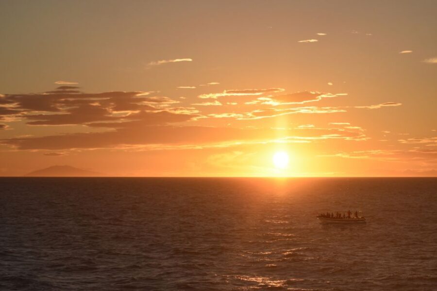 Reykjavik: Premium Whale and Puffin Watching Evening Tour - Why This Tour Stands Out