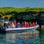 Reykjavik: Puffin Watching Tour - Who Should Consider This Tour?