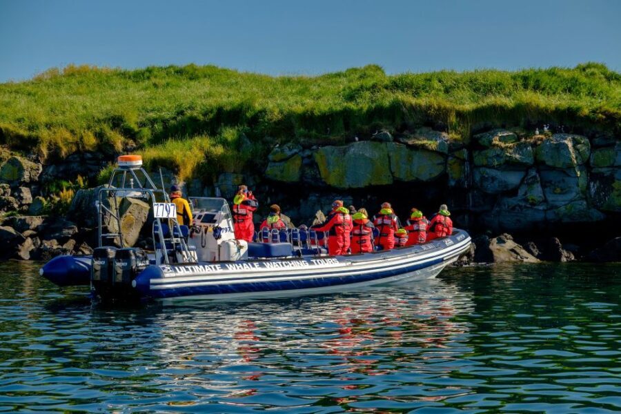 Reykjavik: Puffin Watching Tour - Who Should Consider This Tour?