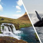 Reykjavik: Snæfellsnes Peninsula & Whale Watching Tour - The Whale Watching Experience: What to Expect